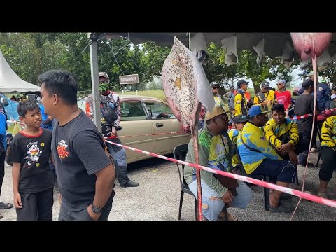 IKAN PARI DAUN MENJUARAI EVENT DI PANTAI SEMANYIR ENDAU - YouTube