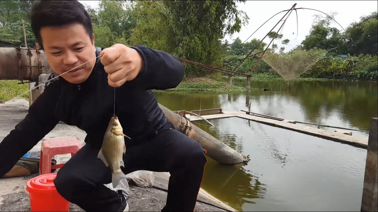 Câu cá giải trí – kinh nghiệm câu cá diếc sông tự nhiên - YouTube