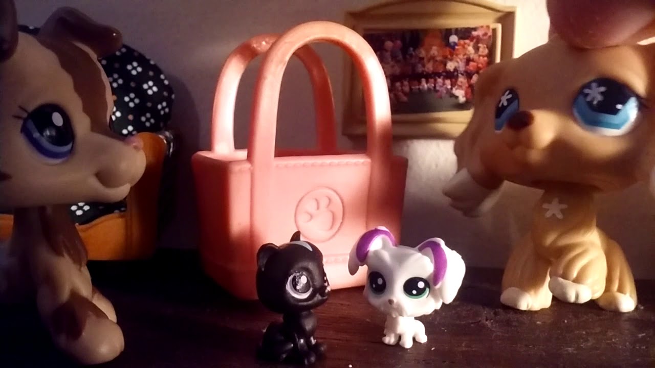 Lps the sleep over skit - YouTube