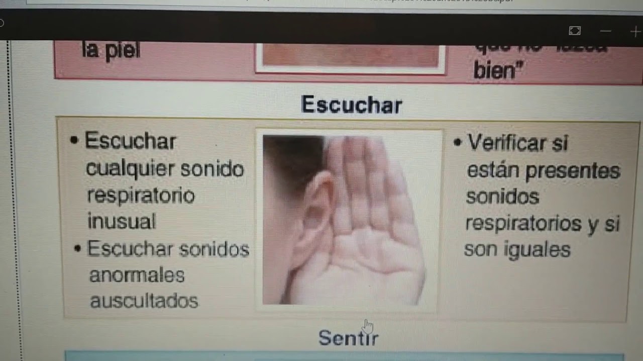 ver oir y sentir - YouTube