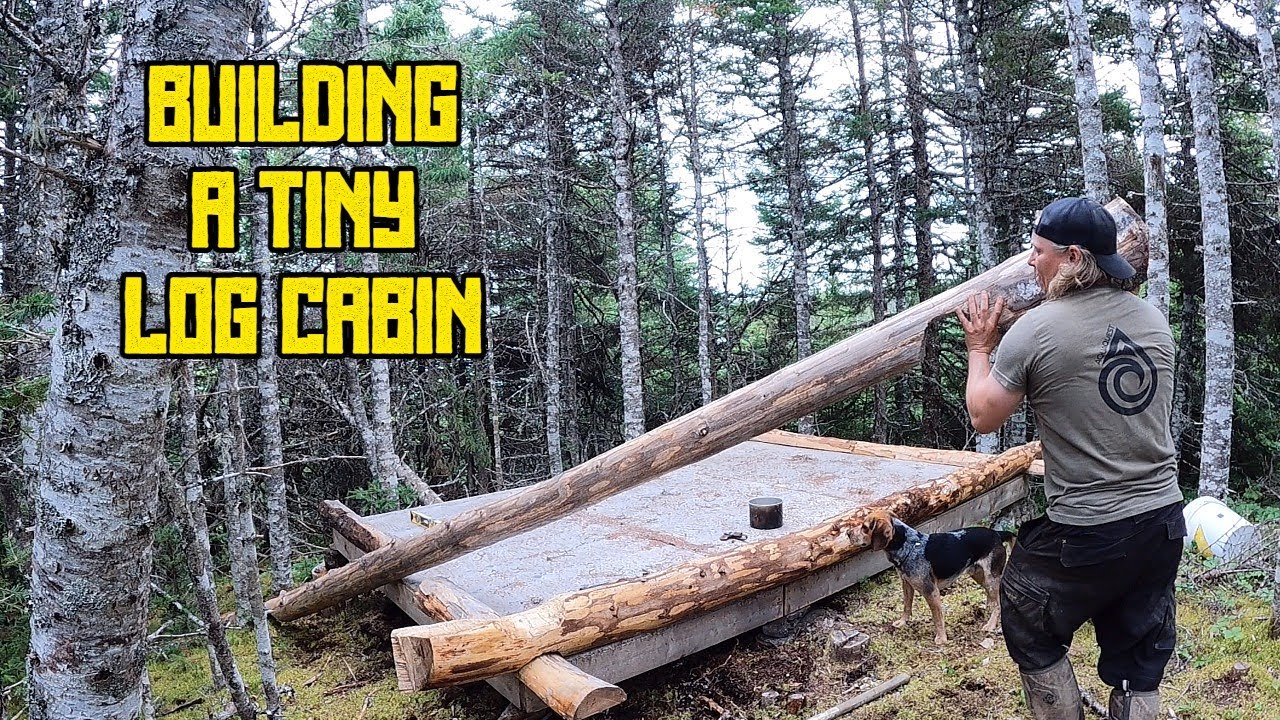 Building a Tiny Log Cabin / Leveling the Floor and Placing a Few logs ...