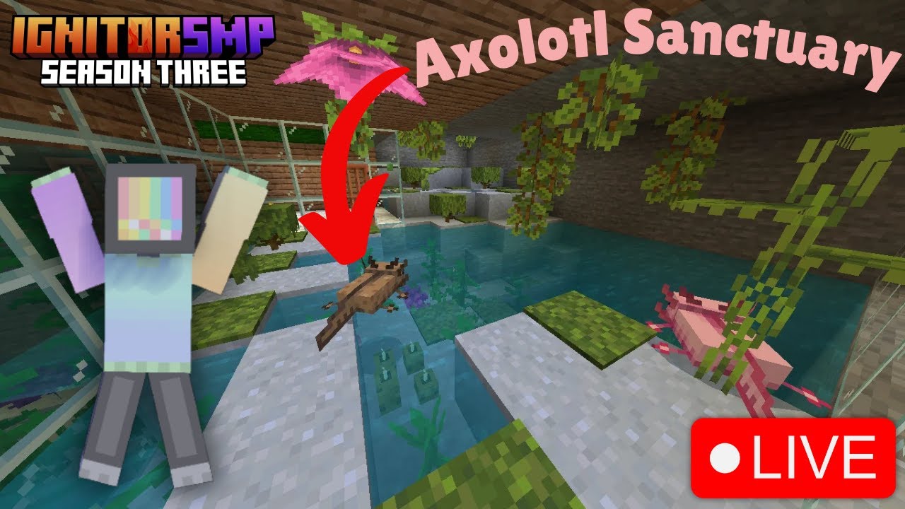 Finally Building my Axolotl Sanctuary on IgnitorSMP!!! - YouTube