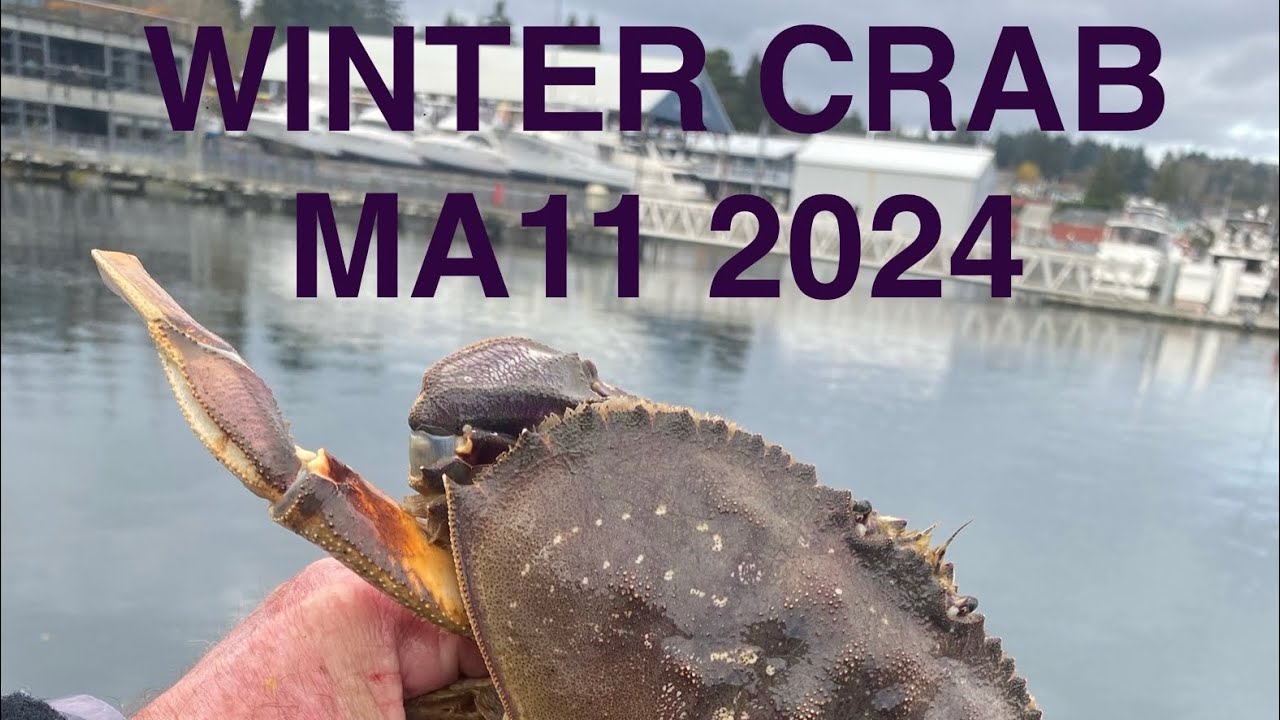 Winter Crabbing for Dungeness Crab in November - YouTube