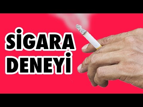 Elektrik Süpürgesine Sigara İçirdik - Sigaranın Zararını Görün