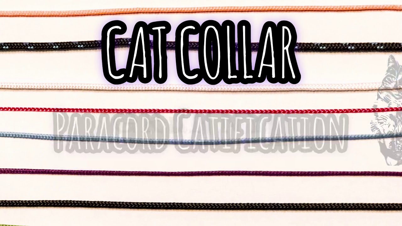 Cat Collar | Paracord | Homemade | Beautiful & Safe - YouTube