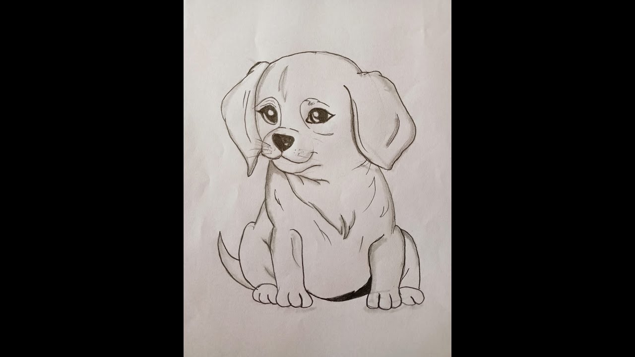 Step by Step Drawing of Puppy - YouTube