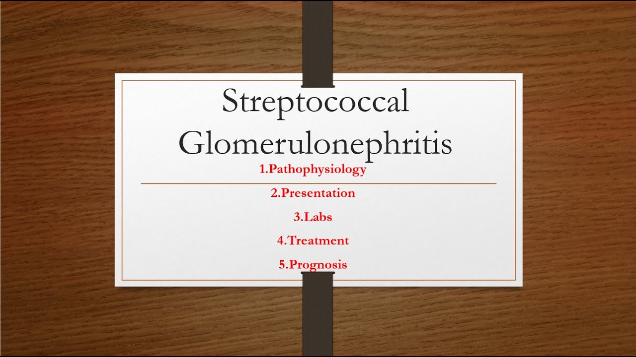 post-streptococcal-glomerulonephritis-high-yield-review-for-usmle