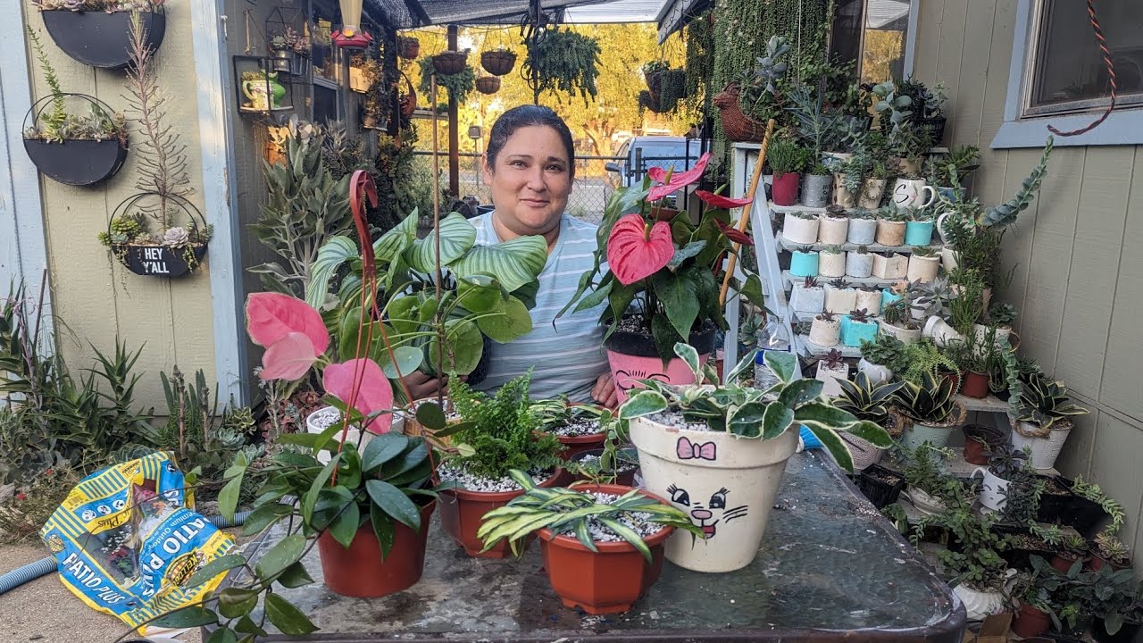 trasplantando plantas y conversando - YouTube