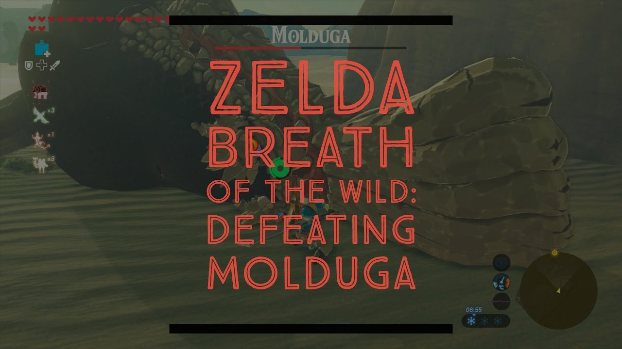 The Legend of Zelda Breath of the Wild: Molduga Mini-Boss Strategy ...