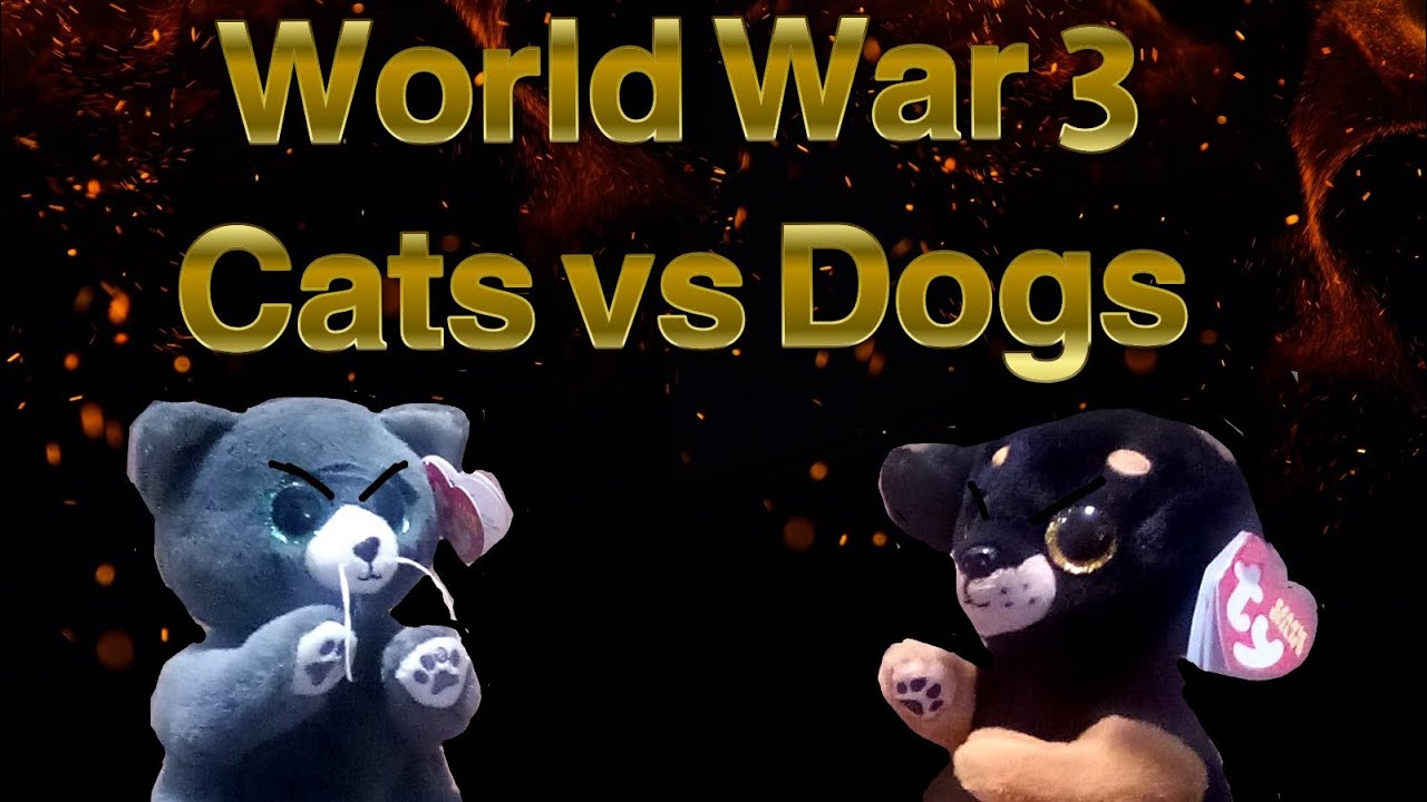 WW3: The war of cats and dogs part 1 - YouTube