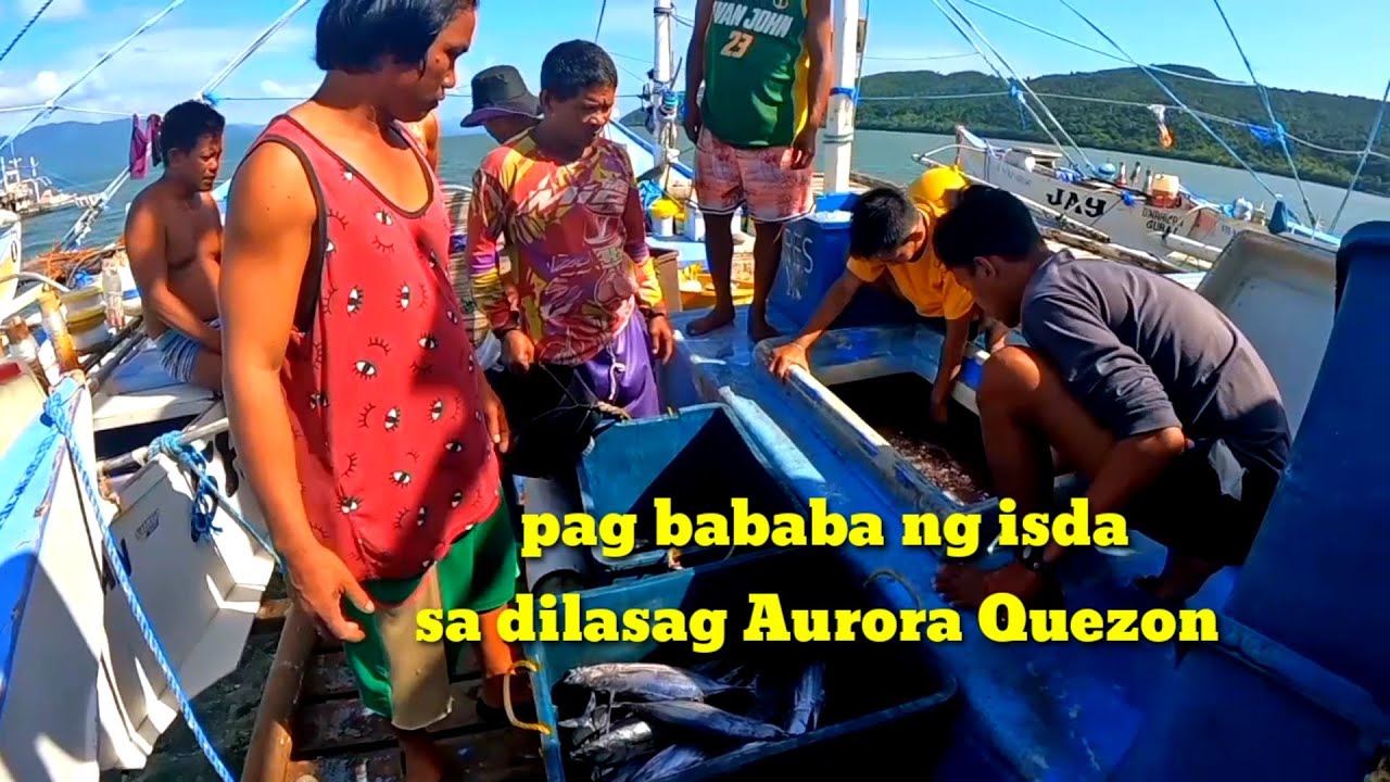 day10 Pag baba ng isda namin Dito sa dilasag aurora quezon - YouTube