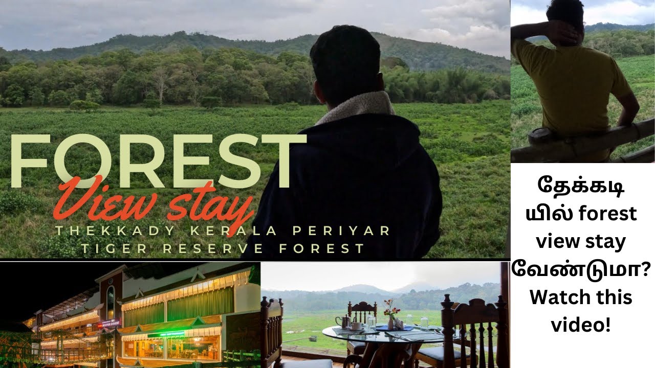 thekkady forest view stay/jungle resort/periyar tiger reserve forest ...