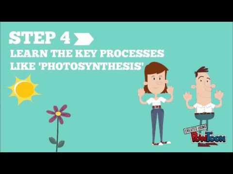 8 Steps to Pass GCSE Geography - YouTube