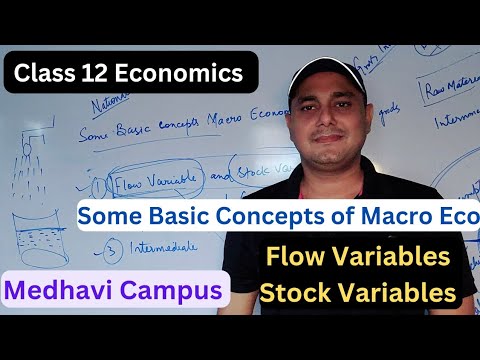 Flow Variables and Stock Variables | Class 12 Macro Economics | CBSE @medhavicampus - YouTube