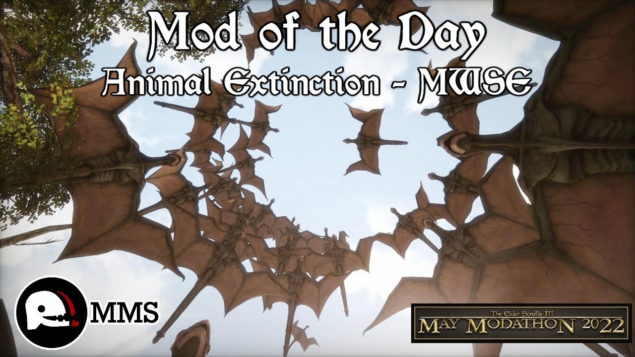 Morrowind Mod of the Day - Animal Extinction Showcase - YouTube