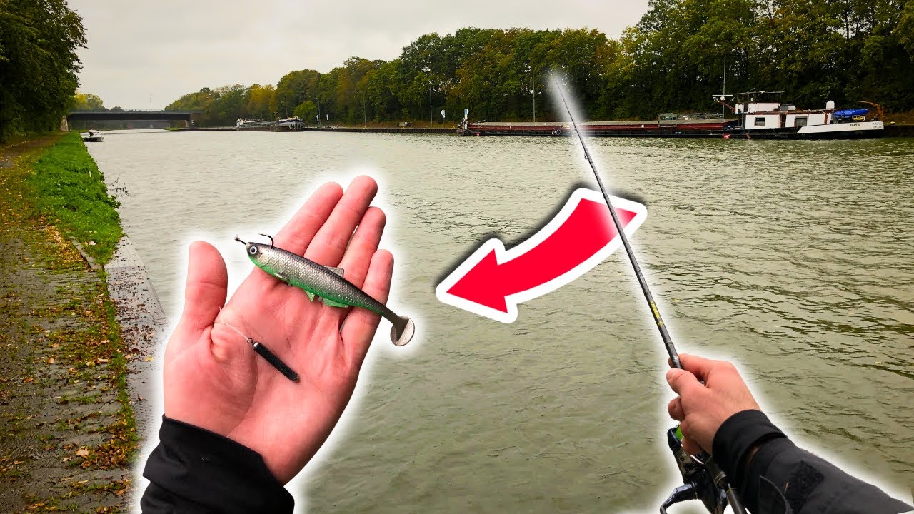 Dieses RIG ist super FÄNGIG! So fängst du Zander mit Drop Shot im Kanal ...