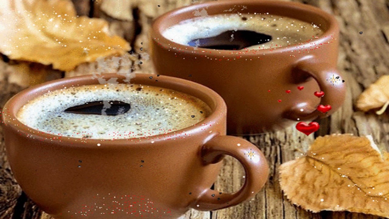 MOLIENDO CAFÉ - YouTube