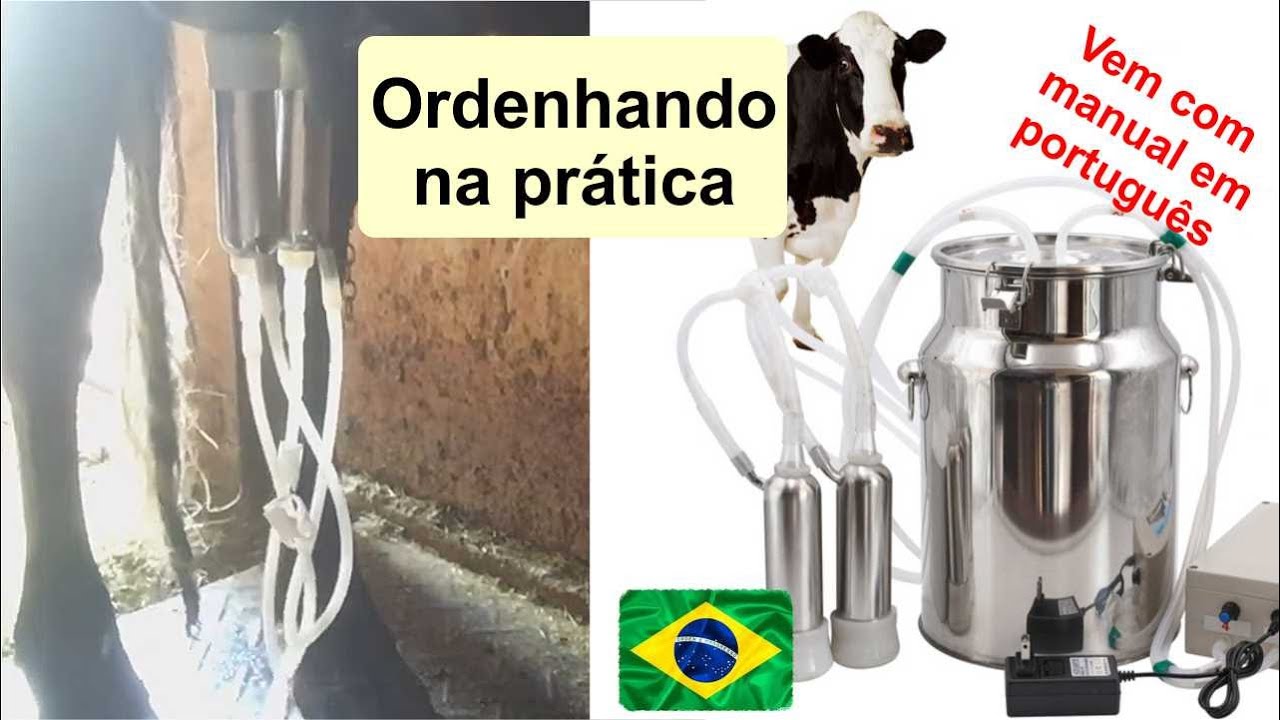 Ordenhando na Pratica - Ordenhadeira Ordenha Elétrica Pulsativa 10 ...