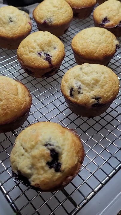 MFF Protein Blueberry Muffins! 133Cals | 8.6P | 21.7C | 1.3F - YouTube