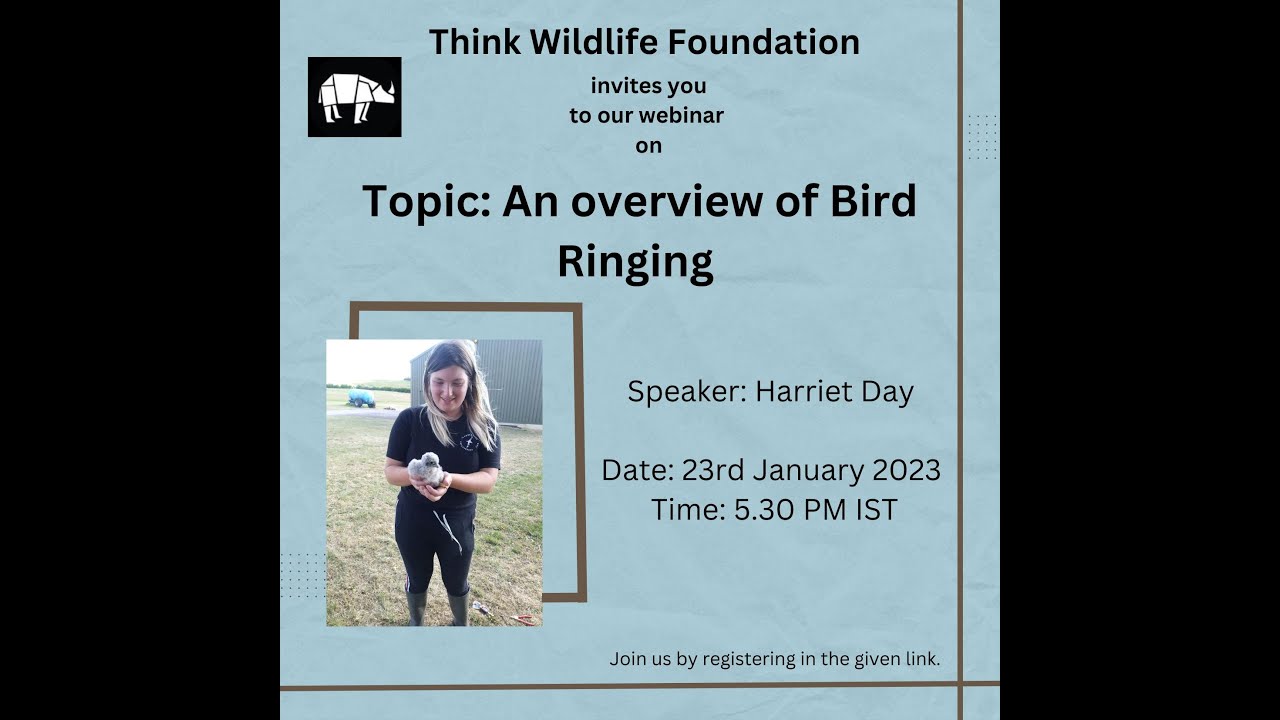 Webinar - Bird Ringing with Harriet Day - YouTube