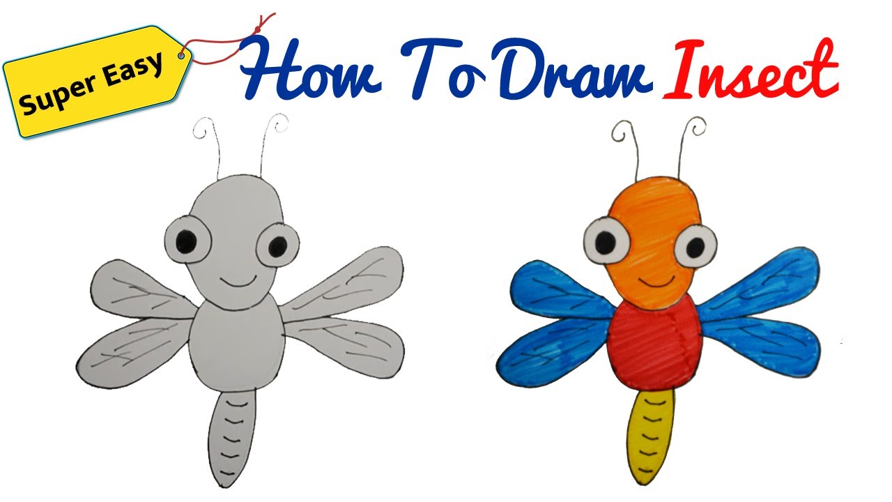 How to Draw Insect | Easy Drawing Step by Step #drawing - YouTube