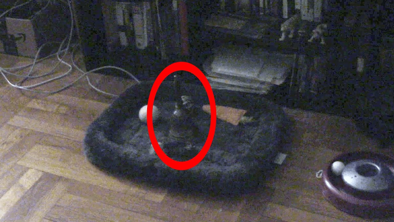 She-Ghost Caught on Video - YouTube