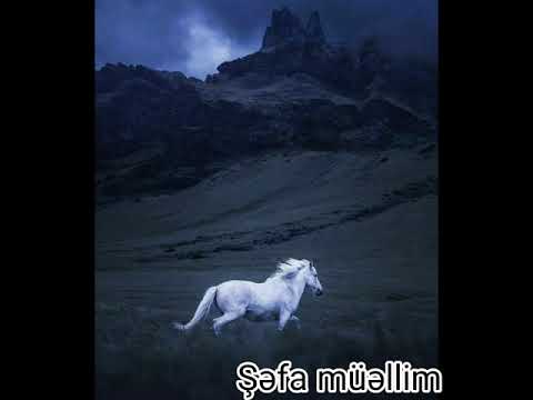 İmadəddin Nəsimi \