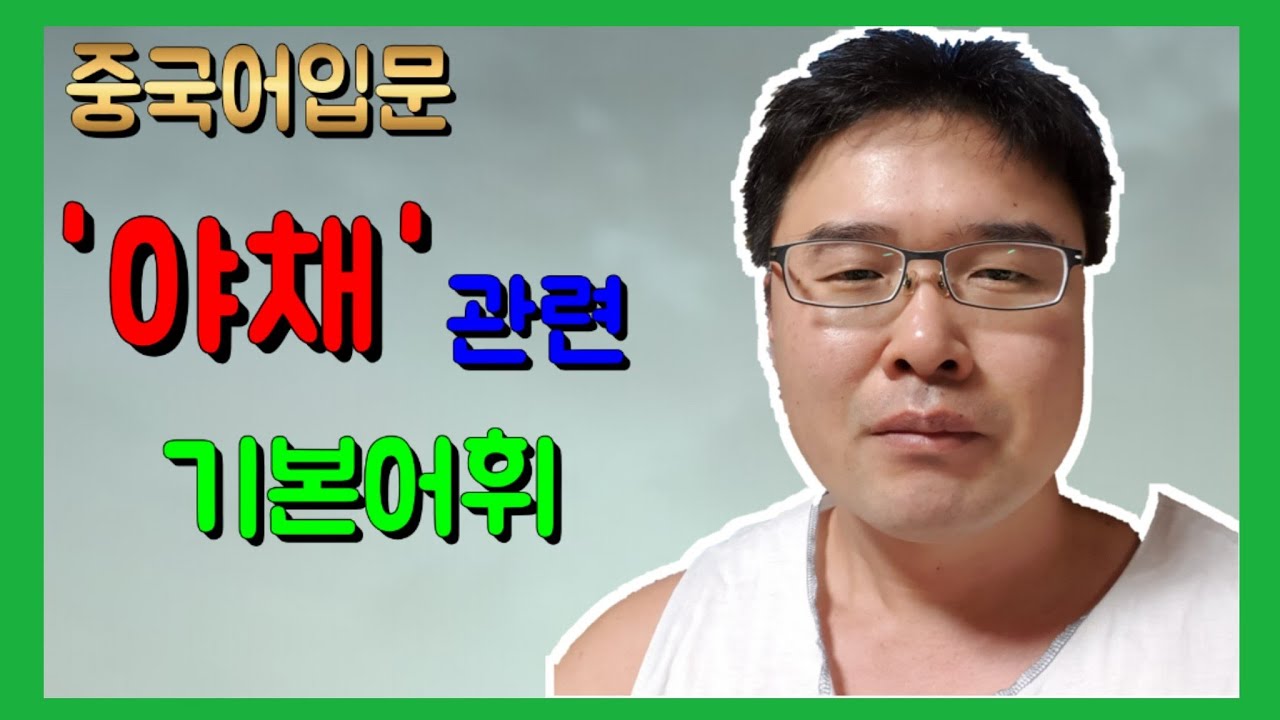 중국어배우기 중국어회화 실전중국어 직장인중국어 중국어기초 일상중국어 중국어쉐도잉 야채 관련 중국어 기본어휘 정리