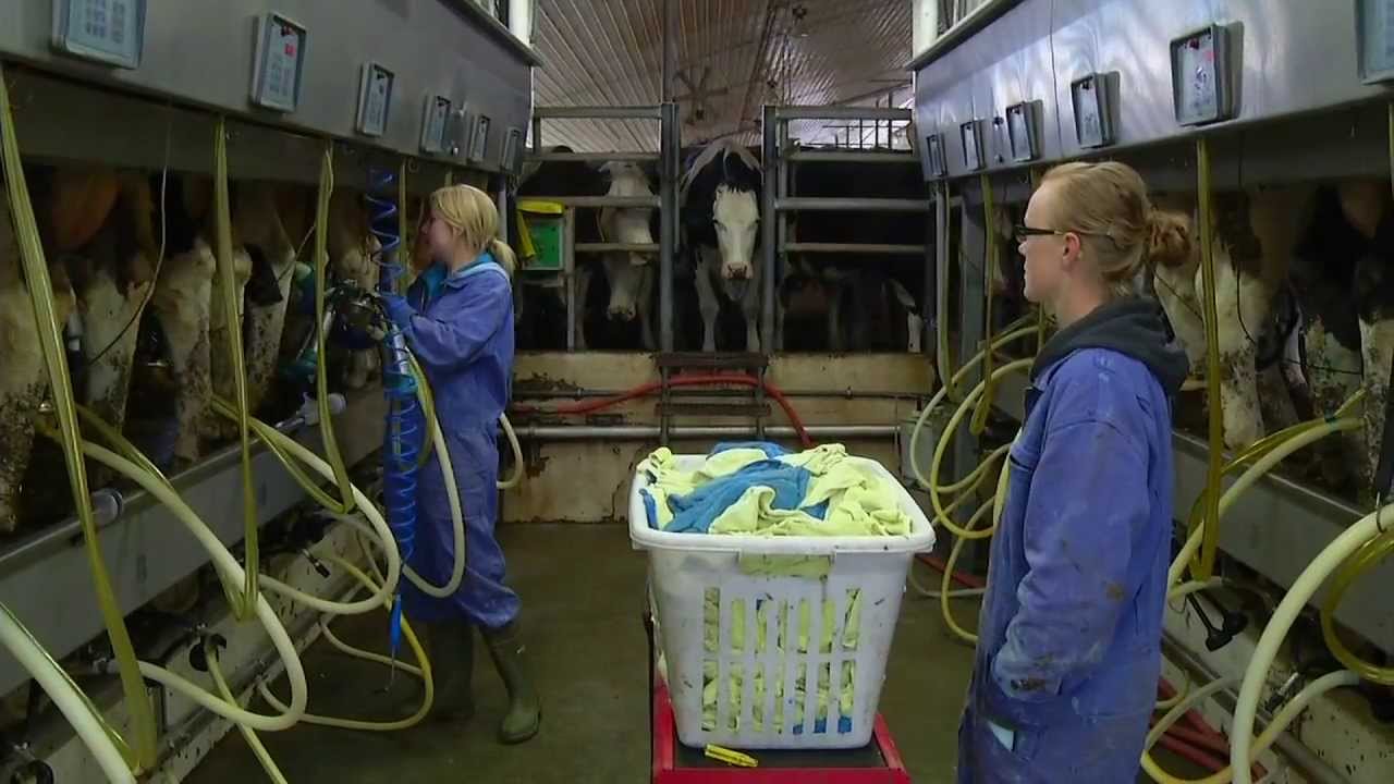 Bles-Wold Dairy - YouTube