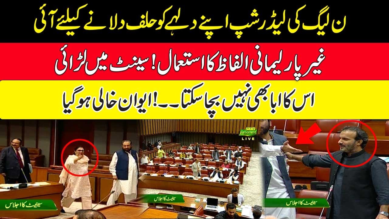 Heavy Fight In Senate Over Ishaq Dar Oath Taking l Aun Abbas Bappi ...
