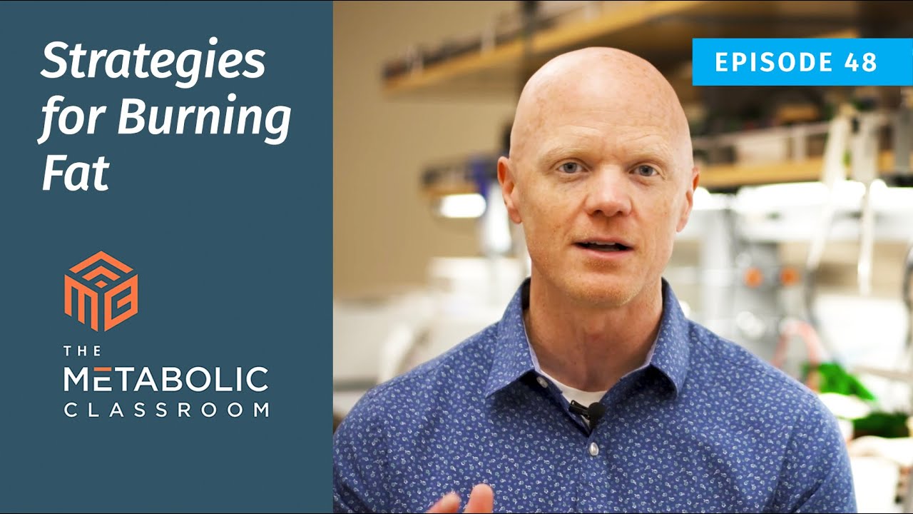 48: Strategies for Fat Burning with Dr. Ben Bikman - YouTube