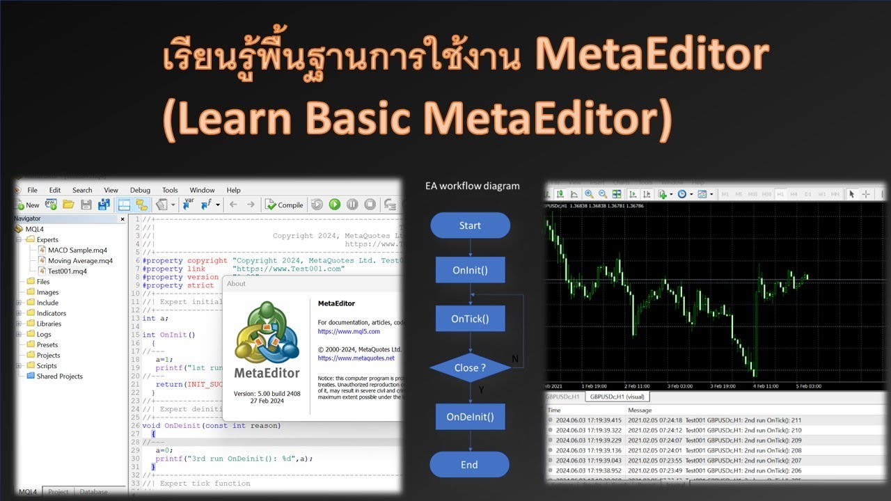 เรียนรู้พื้นฐานการใช้งาน MetaEditor (Learn Basic MetaEditor) - YouTube