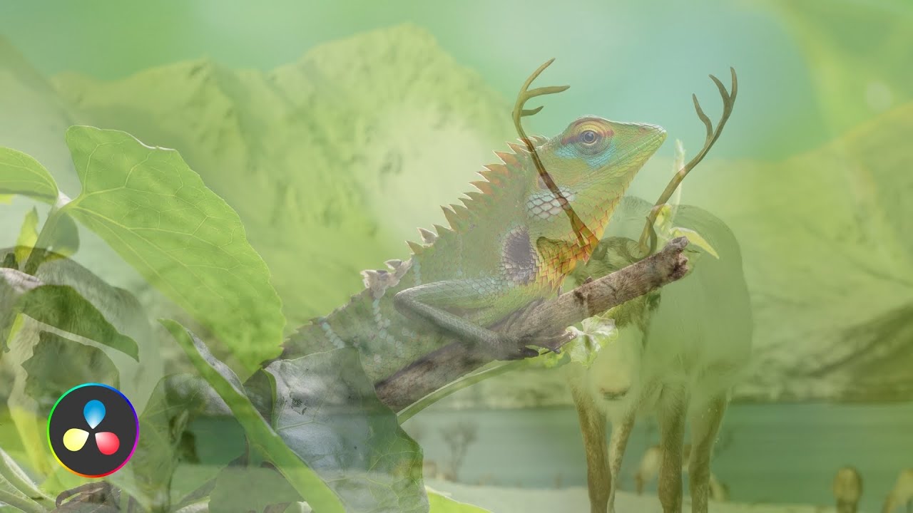 Cross Dissolve Transition l Davinci Resolve 19 - YouTube