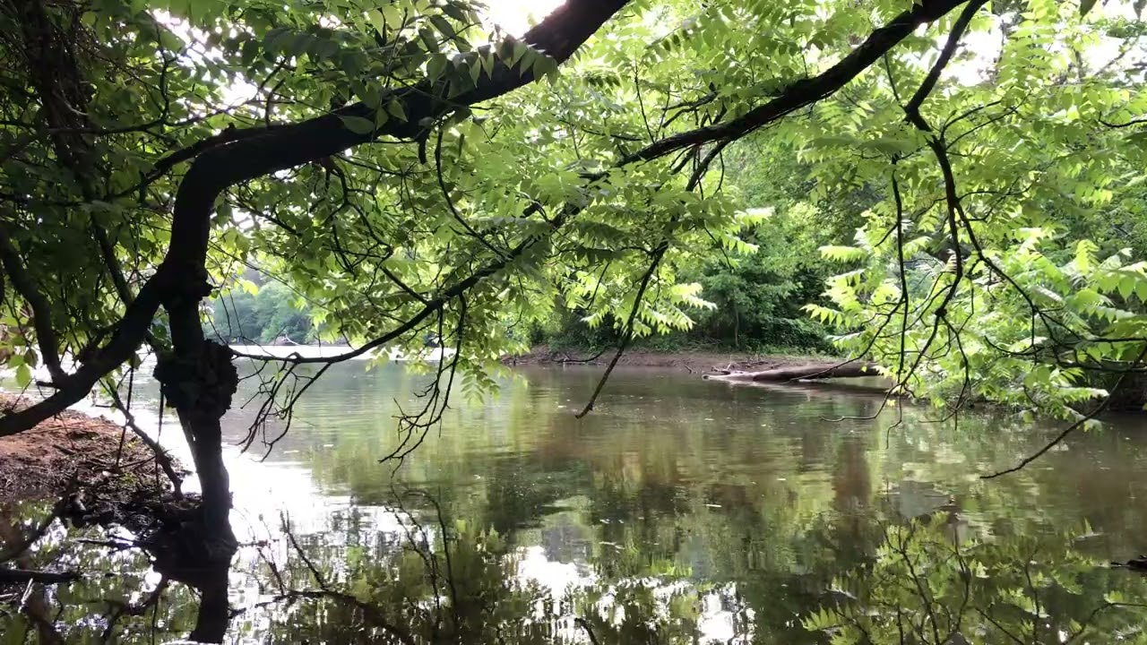 Chattahoochee River - Atlanta, GA 4k 60fps - YouTube