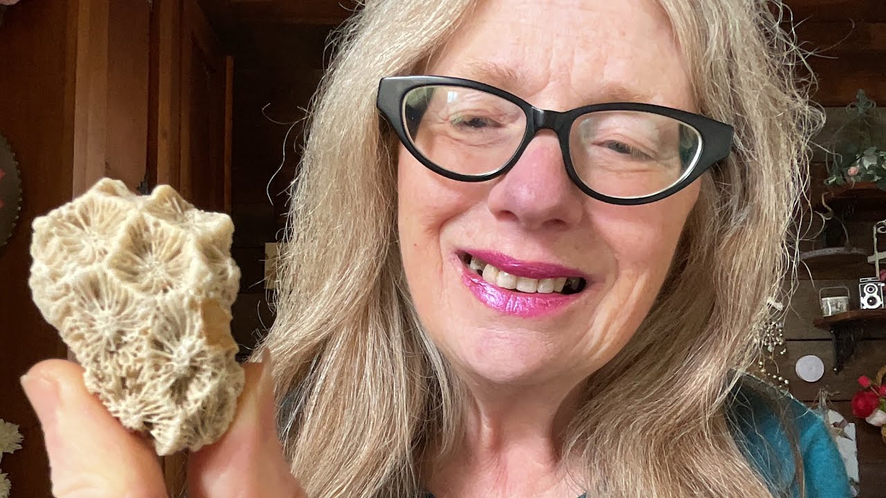 Relaxing Natural wonders from the Sea Corals and Seashells Collection ...