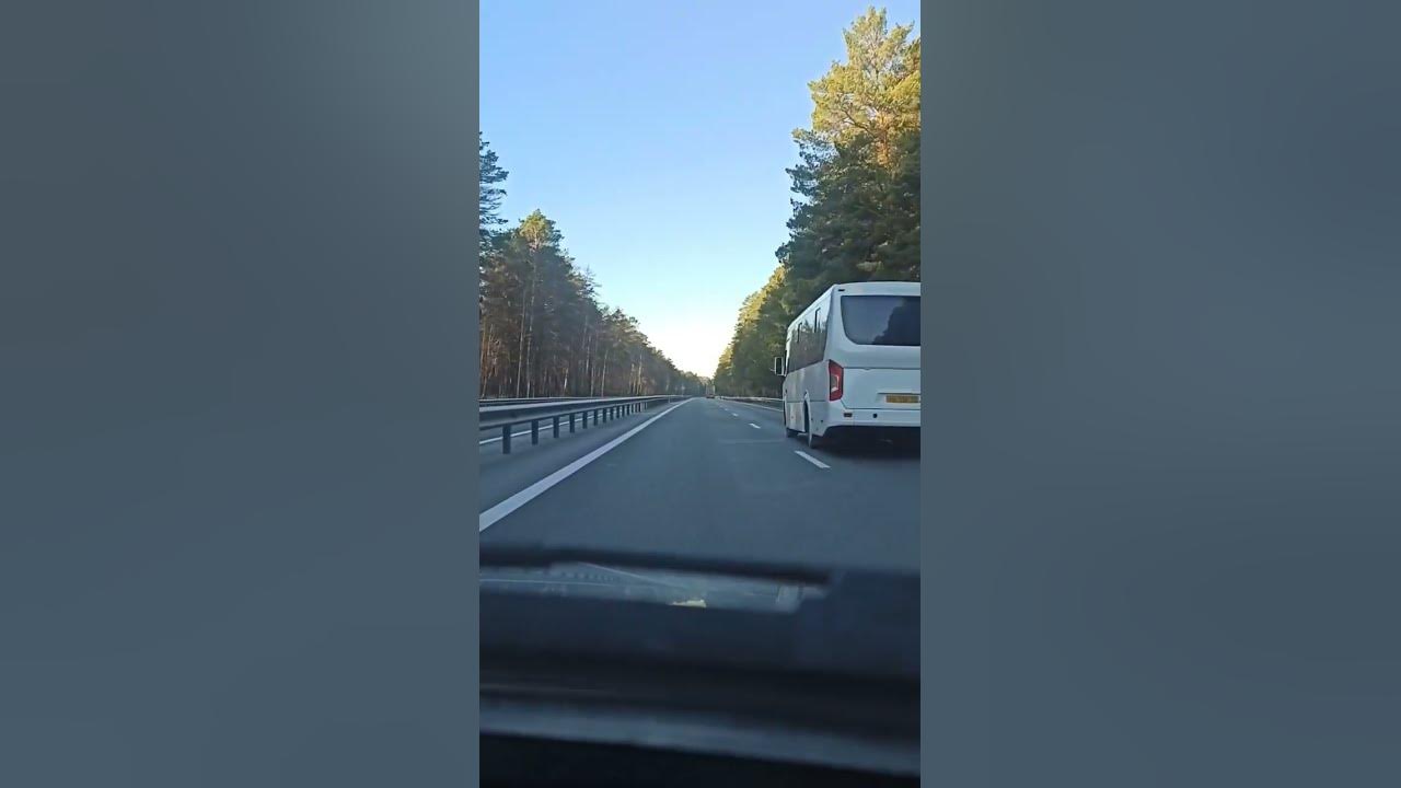 #красиво #дорога #поездка #машина #природа - YouTube