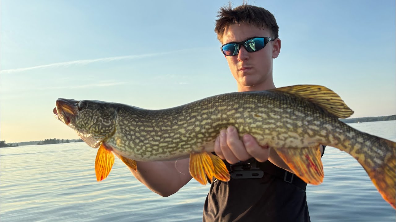 Fishing in the thousand islands for pike and smallmouth - YouTube