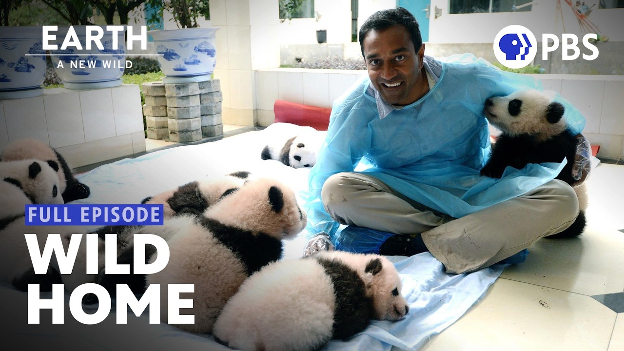 Rewilding Animals To Live Alongside Humans | EARTH A New Wild | Full ...