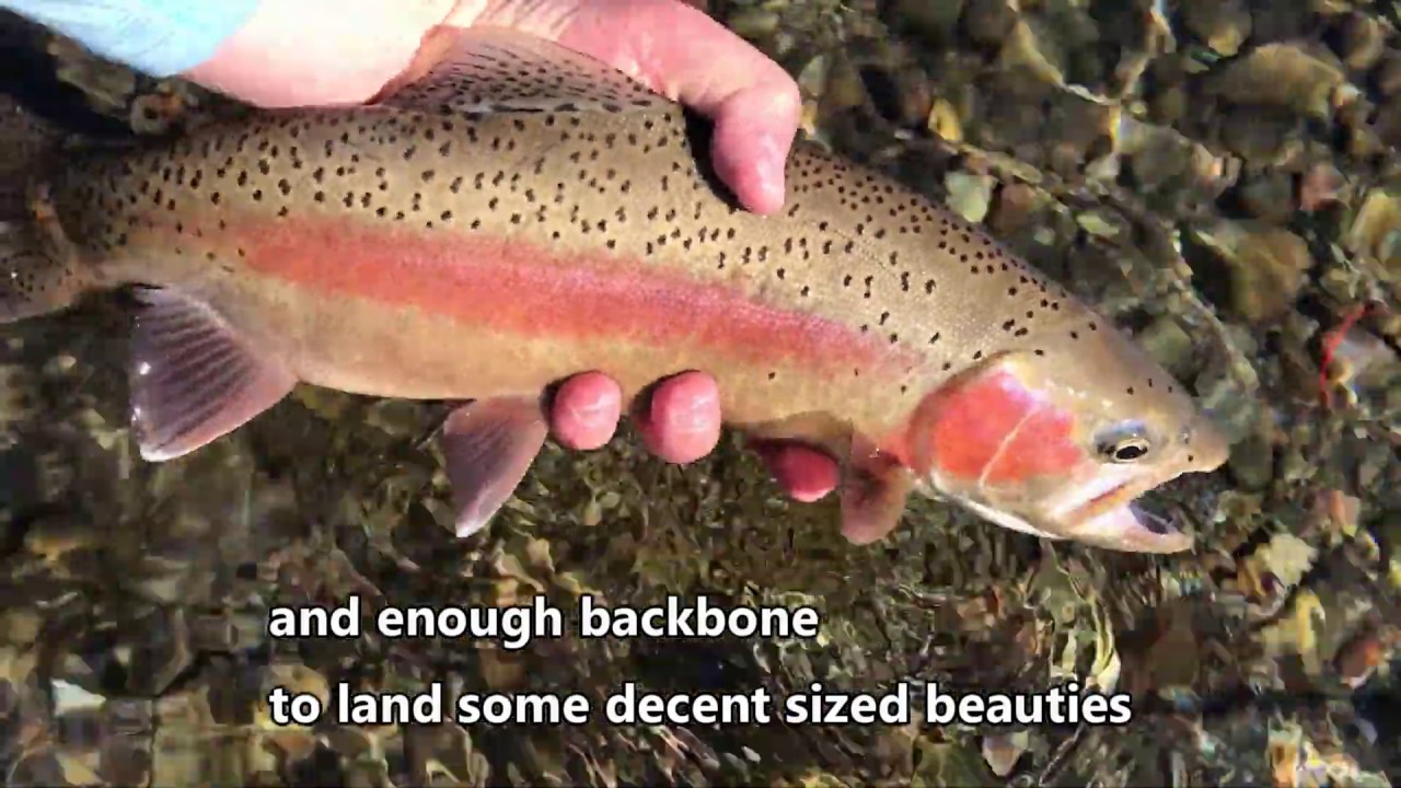 Mizuchi Small Stream Tenkara Rod - YouTube