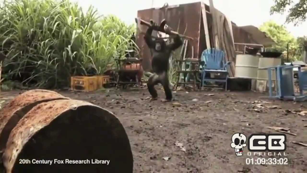 Macaco Boladão de Ak-47 - YouTube