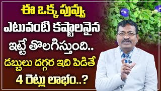 BVSS Reddy : Shankupushpam Benefits in Telugu | Butterf... | Doovi