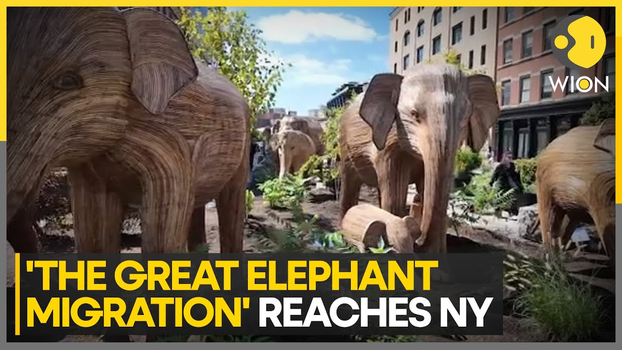 'The Great Elephant Migration' reaches New York | World News | WION ...