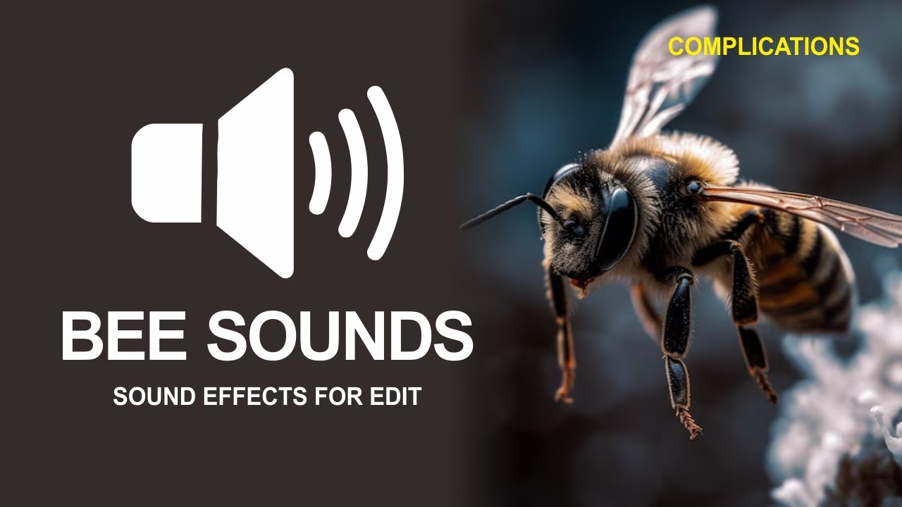 Bee sound effects for edits - SOUND EFFECT SUARA LEBAH - YouTube