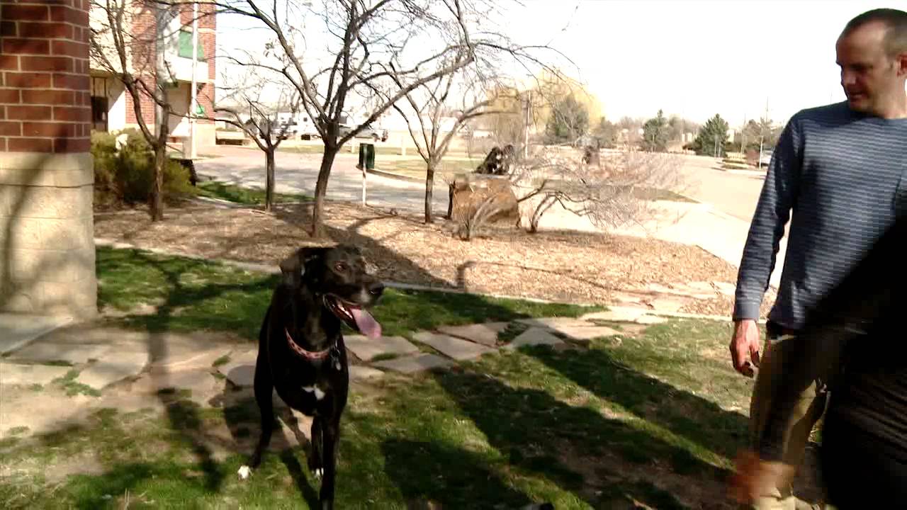 One Cure 2014 - YouTube