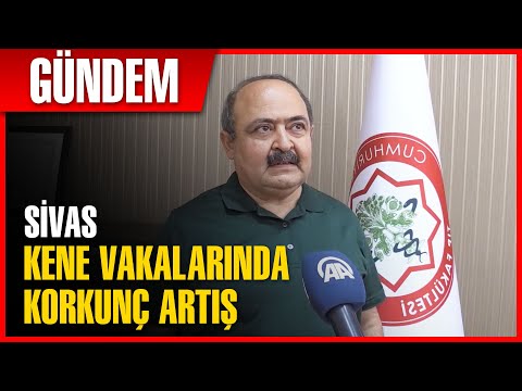 Sivas'ta Endişe Verici Kene Artışı | Son Dakika Haber