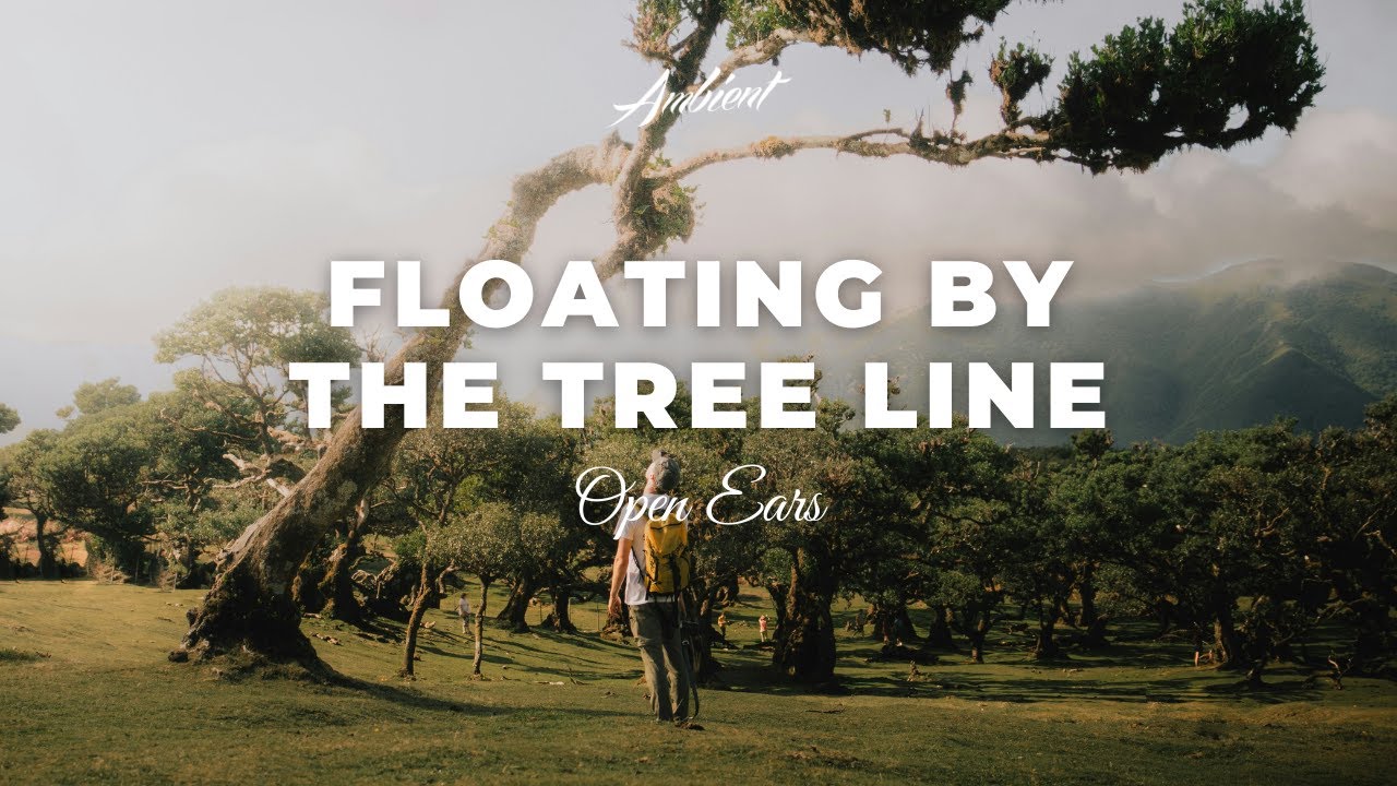 Open Ears - Floating By The Tree Line [ambient meditation relaxing ...