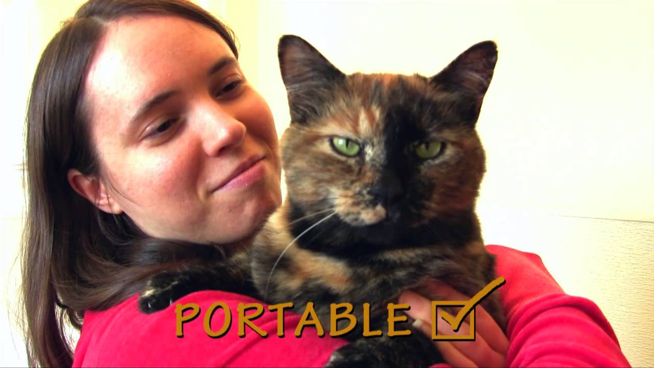 Meet Amber & Hailey! - YouTube