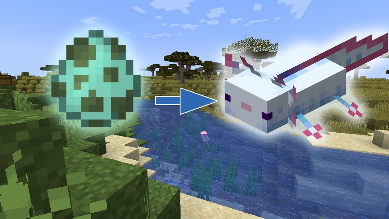 Feeding Axolotl in Minecraft: - YouTube