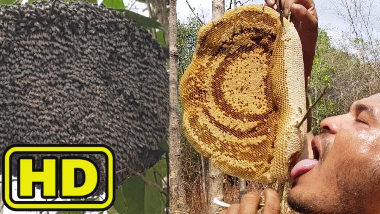 How to build - Survival - Jungle Builder - Primitive survival | Episode ...