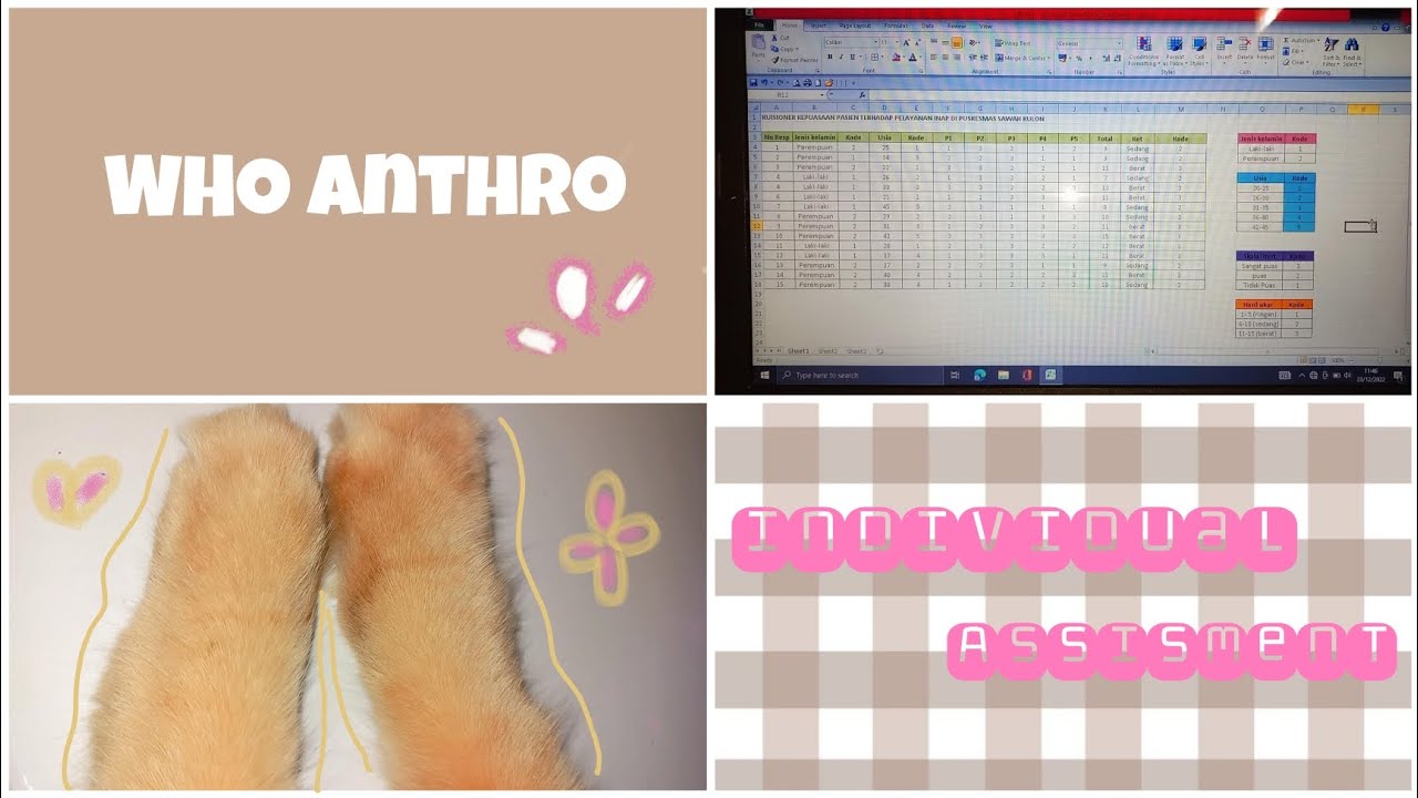 WHO Anthro || Individual Assesment || How to input a data to Who Anthro ...